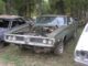 Clay and Sons MOPAR Salvage: Projects and Part Donor Cars For Sale